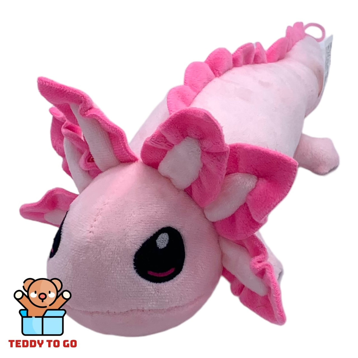 Pink Axolotl plush 70 cm – Teddy to Go