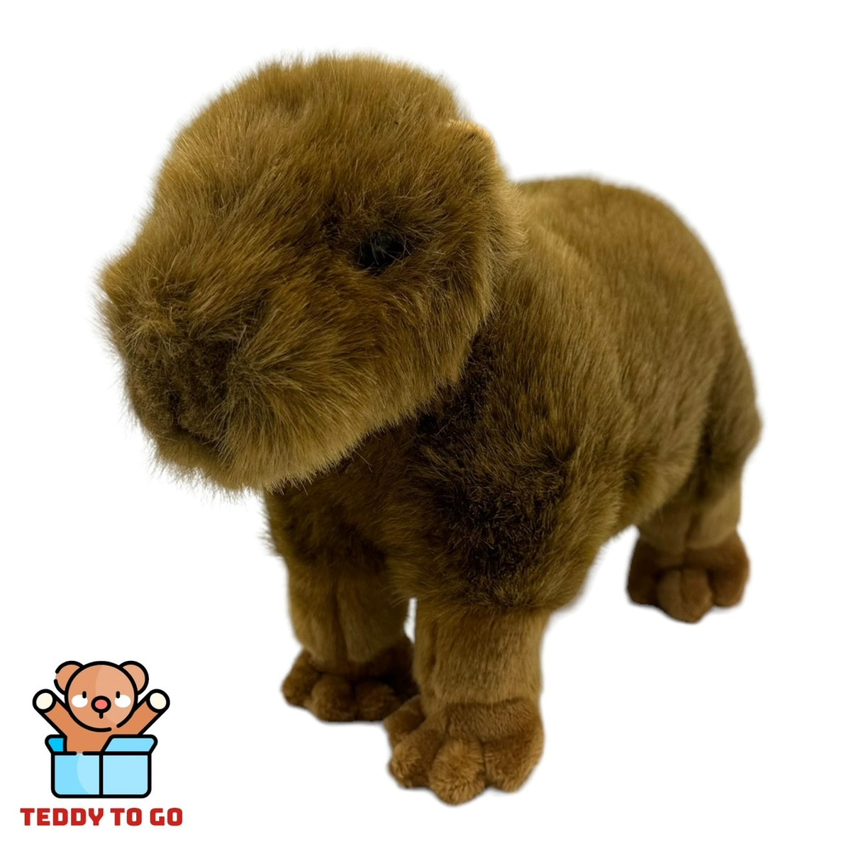 Capybara plush 32 cm – Teddy to Go